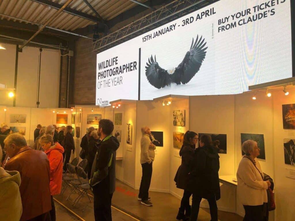 LED Screen Hire UK: For Events, Festivals & Exhibitions | Dynamo